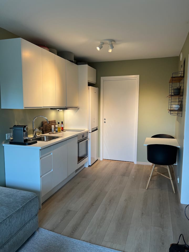 Lys Og Fin Leilighet I Barnevennlig Område - Kristiansand