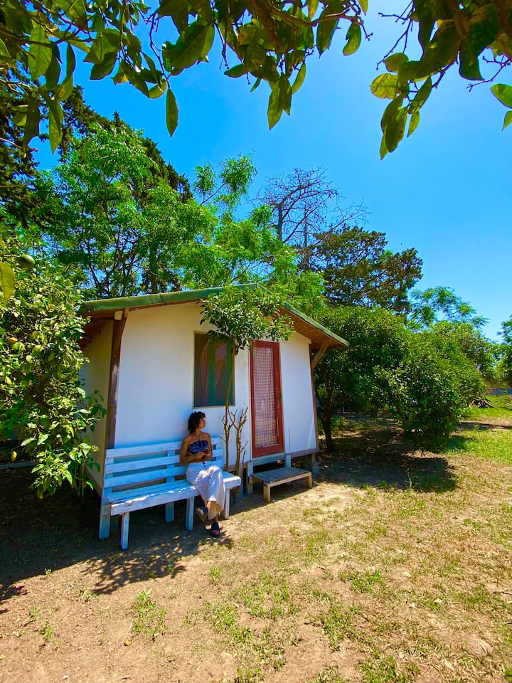 Bodrum Ecofarm Bungalow Tatili - Turgutreis