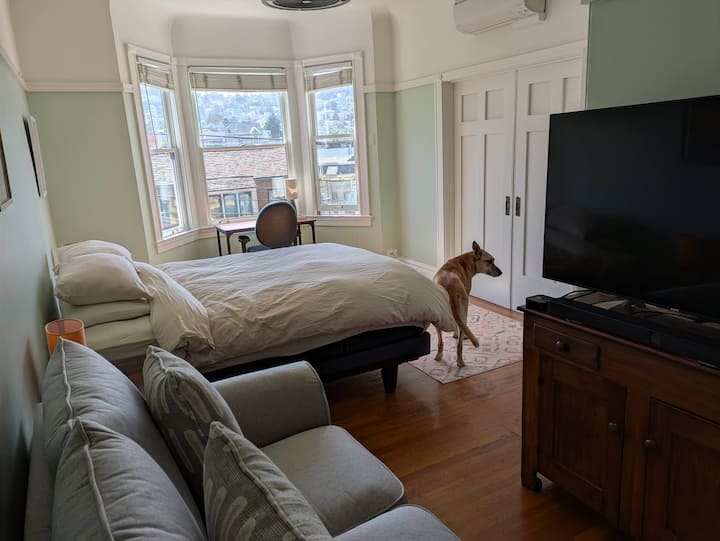 Big Sunny Room In The Heart Of The Castro - San Francisco, CA