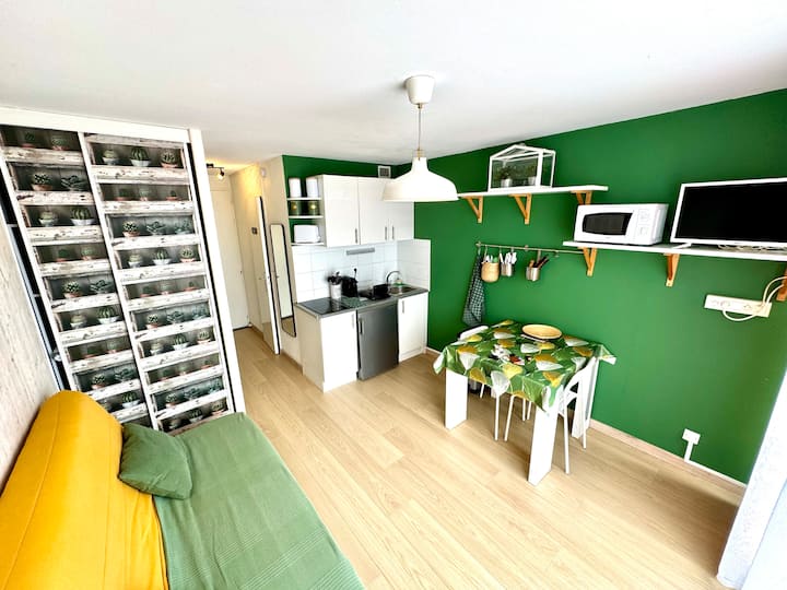 Appt Clim, 700m Plage/piscines+parking Inclus - France