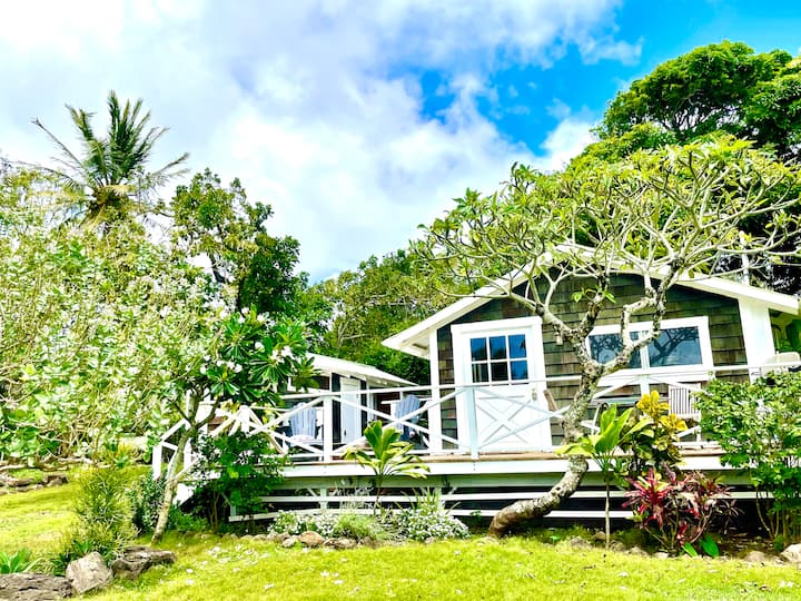 Ocean View Cottage, Hot Tub, Private Guest Ranch - Hawi, HI