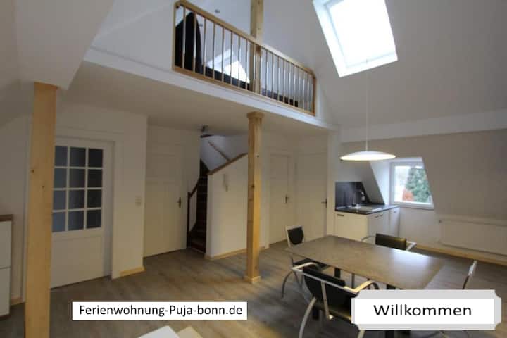 Helle, Moderne, Große Wohnung In Bonn. Wd - Bonn