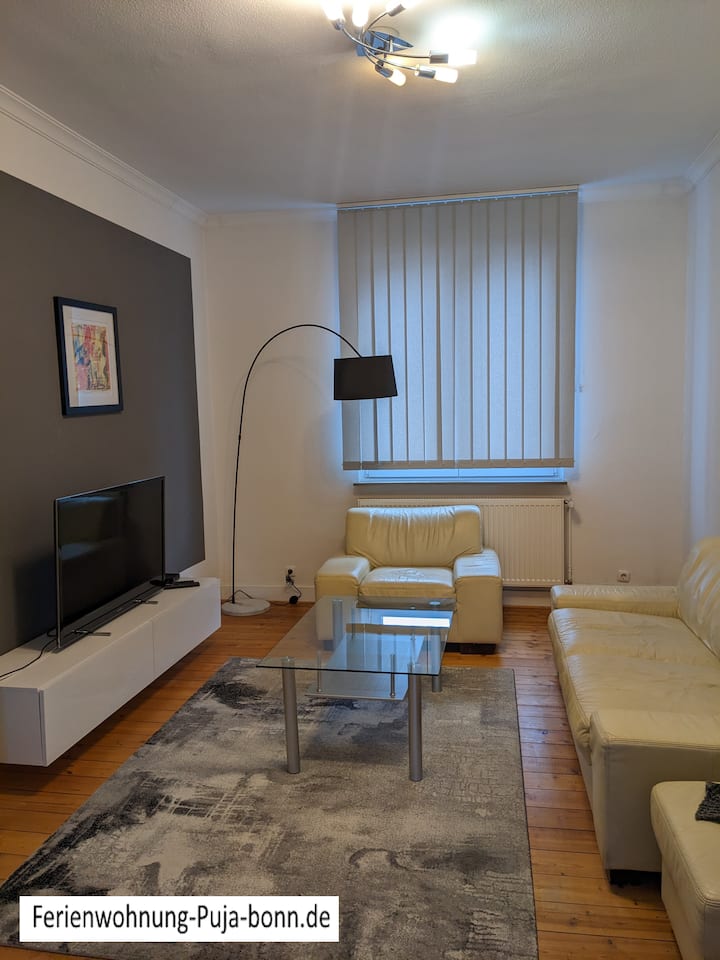 Große, Moderne Wohnung Mit Balkon. W1 - Bonn