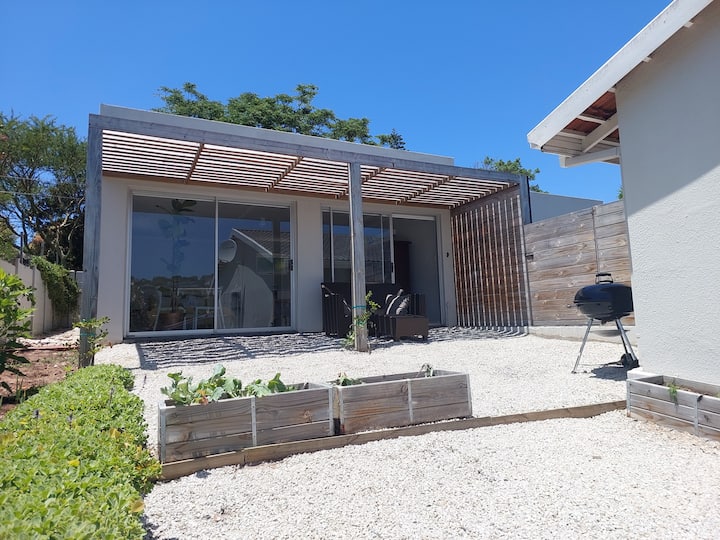 Rugby Studio - Plettenberg Bay