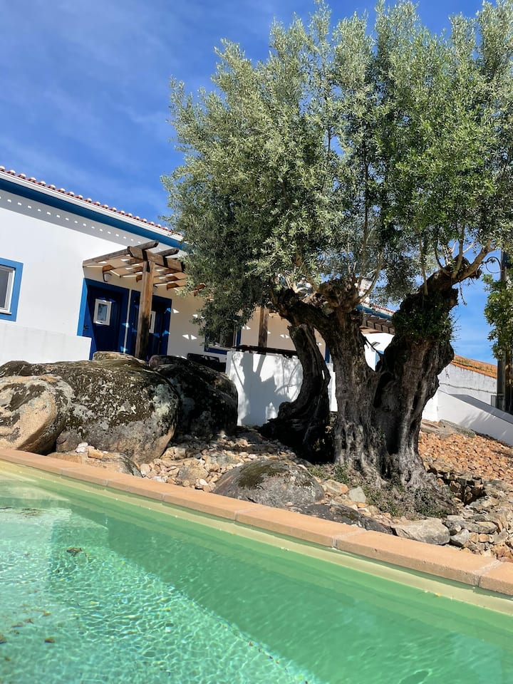 Almojanda 3 Olive Tree - Casa Galega - Crato