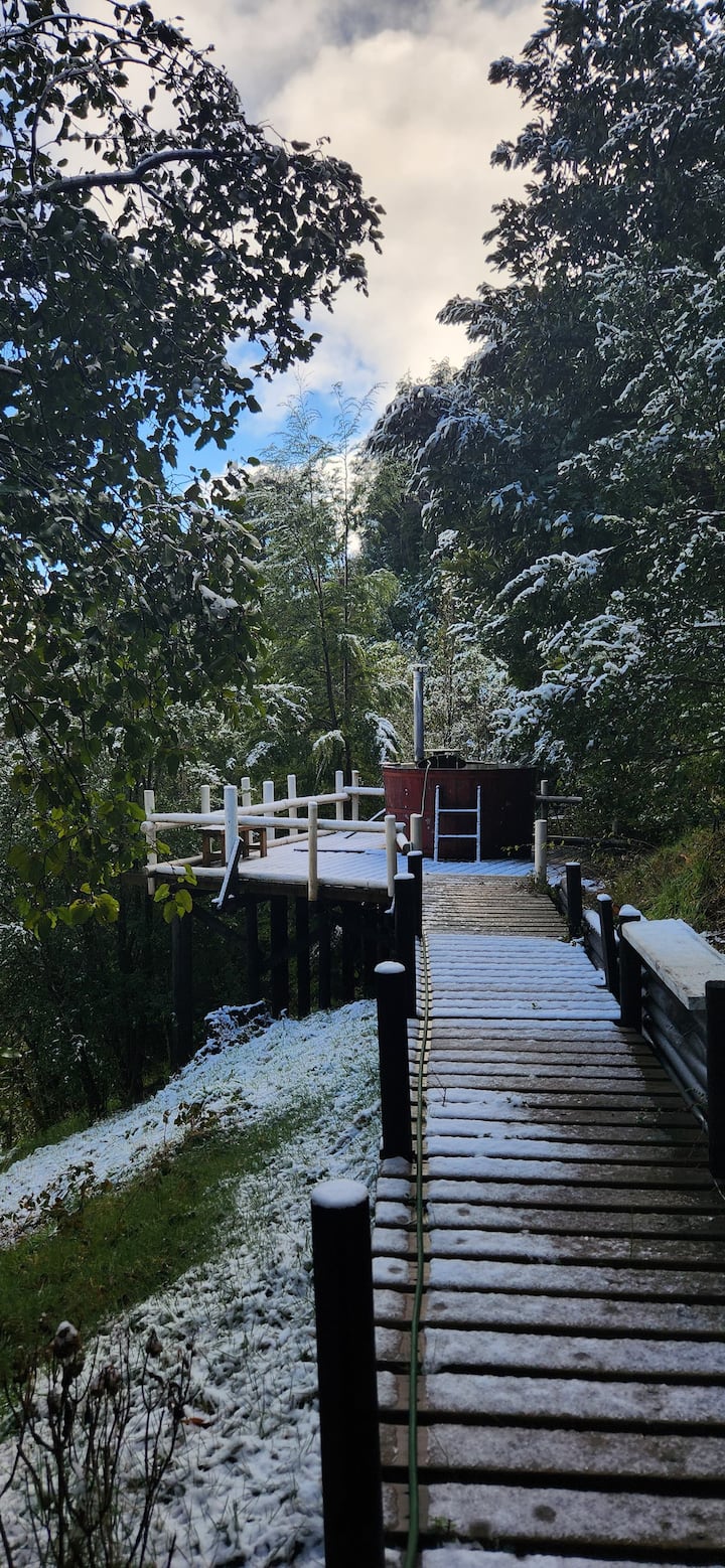 Amplio Chalet Con Tinaja Y Vistas Panorámicas. - Araucanie