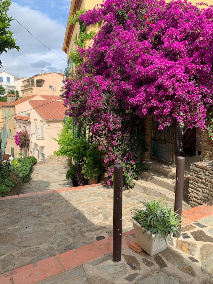 Maison De Charme Au Calme à 200 M De La Plage - Banyuls-sur-Mer