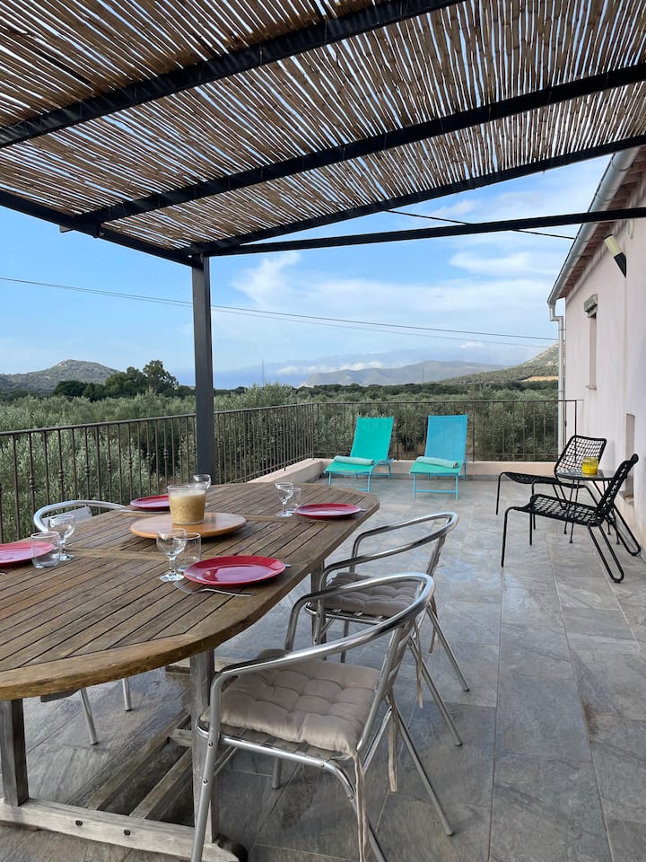 Appartement Au Centre D'un Jardin D'oliviers - Belgodère