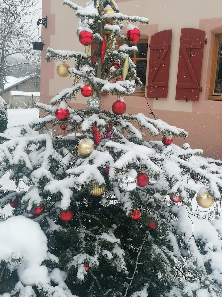 Gite 6/12 Pers Ferme Des Pruniers Avec  Terrasse - Saint-Dié-des-Vosges