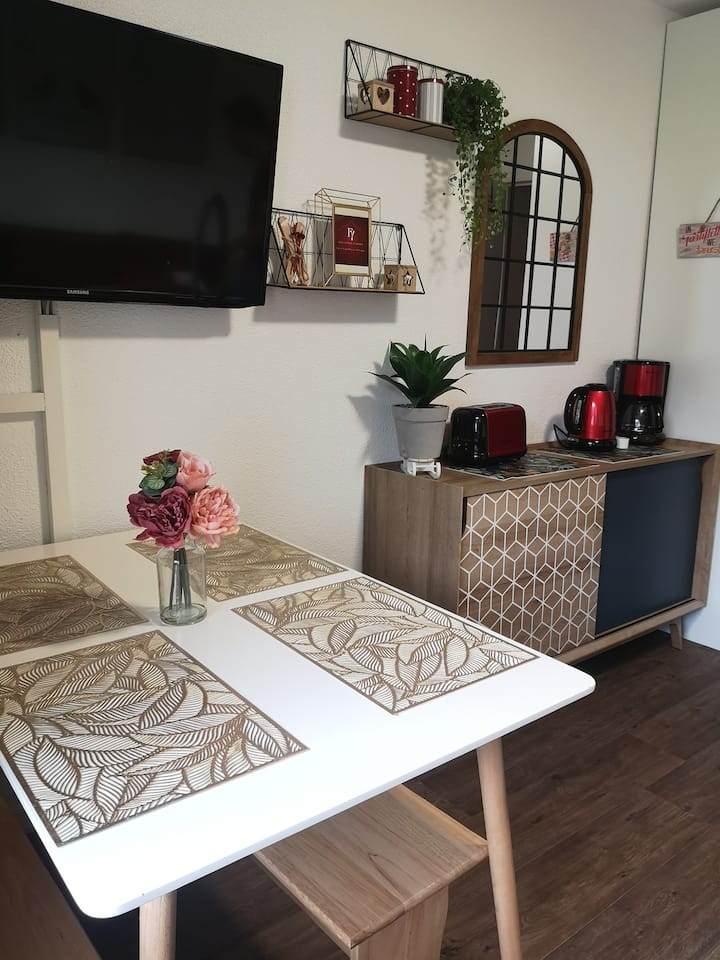 Appartement Au Calme En Plein Cœur De Samoëns - Sixt-Fer-à-Cheval
