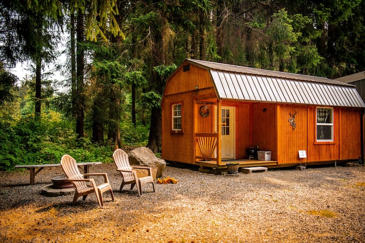 Elk Meadows Cabin - Forks, WA