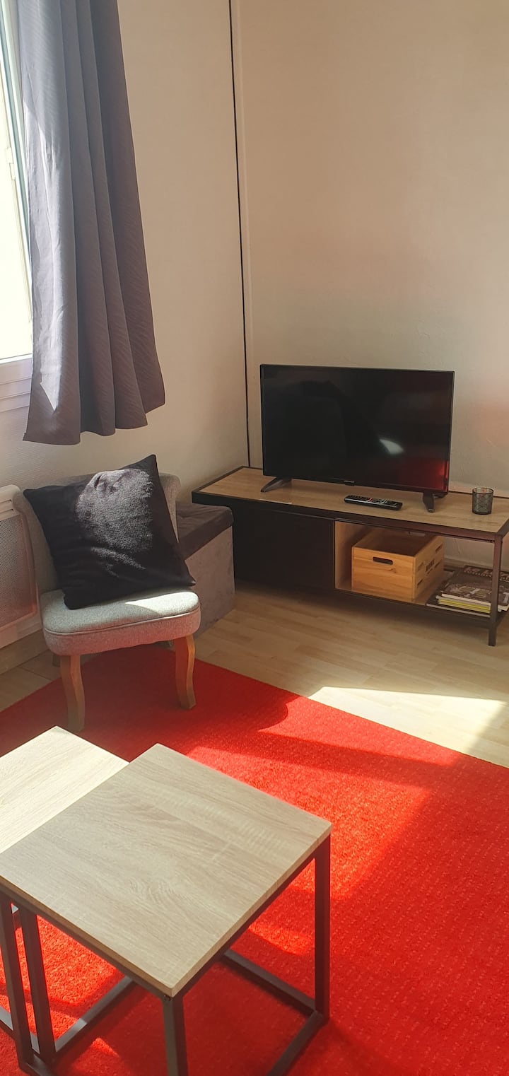 Agréable Appartement T2 Entre Loire Et Loiret - Orléans