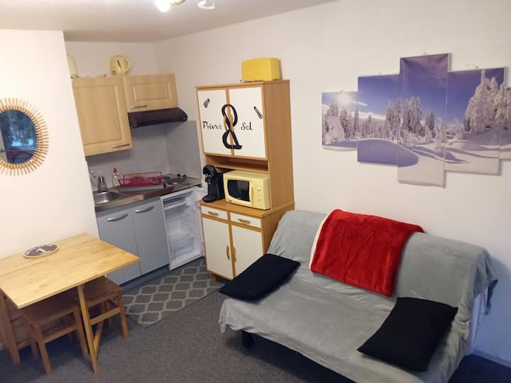 Studio Parfaitement Situé Prapoutel - Crolles