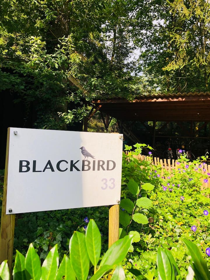 Sfeervol Boshuis Blackbird In Het Mooie Veluwe! - Epe