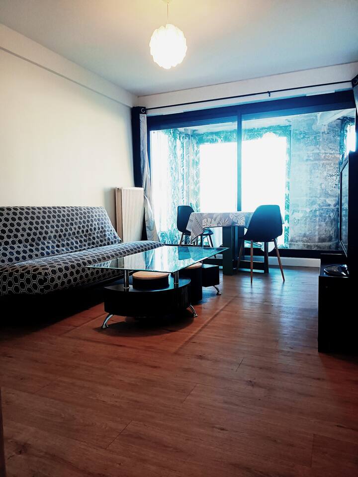 T1 Avec Parking Gratuit + Terrasse Fermée En Rdc - Lescar
