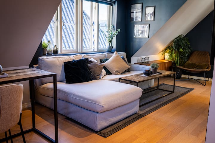 Top Floor Apartment In The Heart Of Bergen - Bergen
