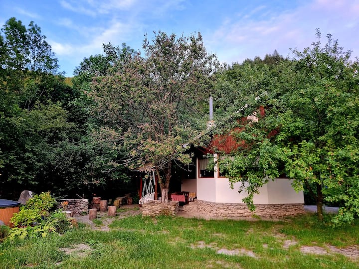 Biniște -Tiny House By The River - Comuna Sâmbăta de Sus