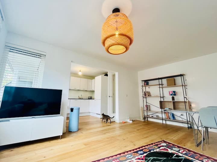 Bright Vondelpark Condo With Cats - Amsterdam