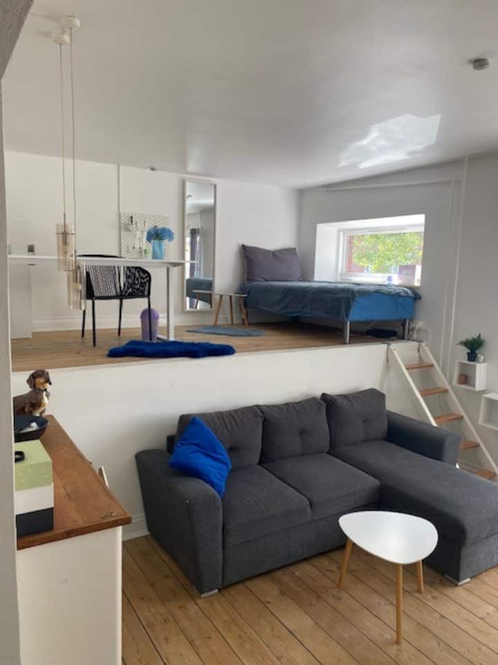 Odense C, Centralt Beliggende Lejlighed - Odense