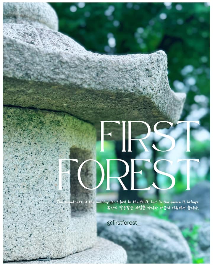 First Forest - 진주시