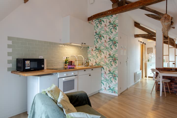 La Claustra, Entre Les Châteaux Et Beauval - Romorantin-Lanthenay