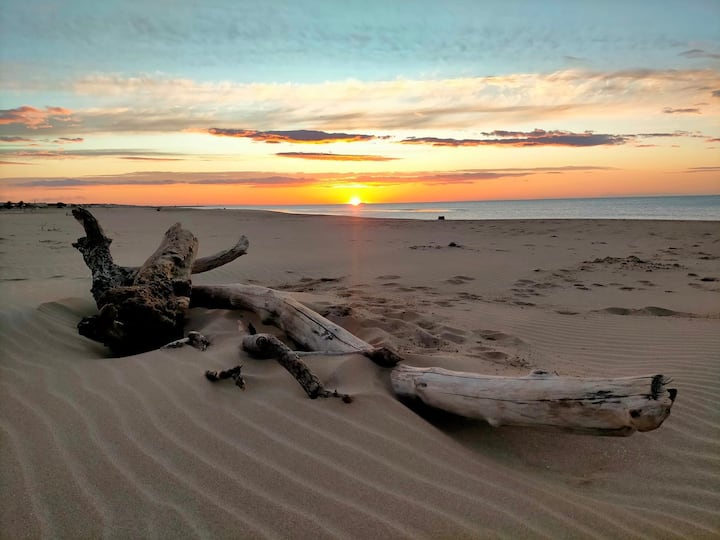 Boucanet : Appartement Paisible à 50 M De La Plage - Port Camargue