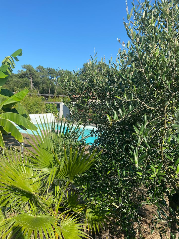 Montalivet: Maison Récente Avec Piscine Chauffée - Vendays-Montalivet