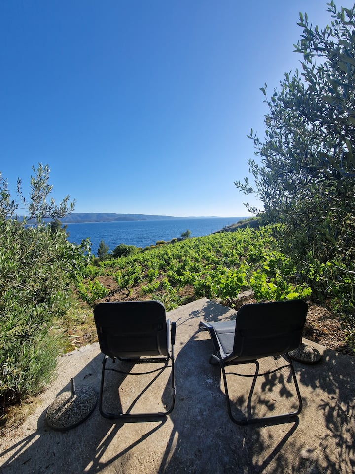 Robison House Mali Zagradac - Stari Grad