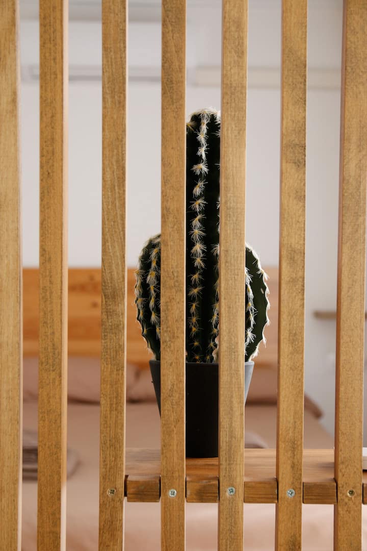 Loft Studio 4 Train Station - Alicante