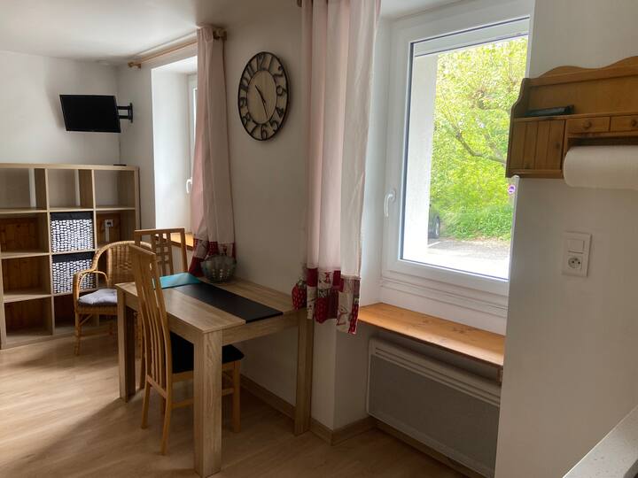 A Louer Studio 25 M², Rez-de-chaussée, Plein Sud - Brides-les-Bains