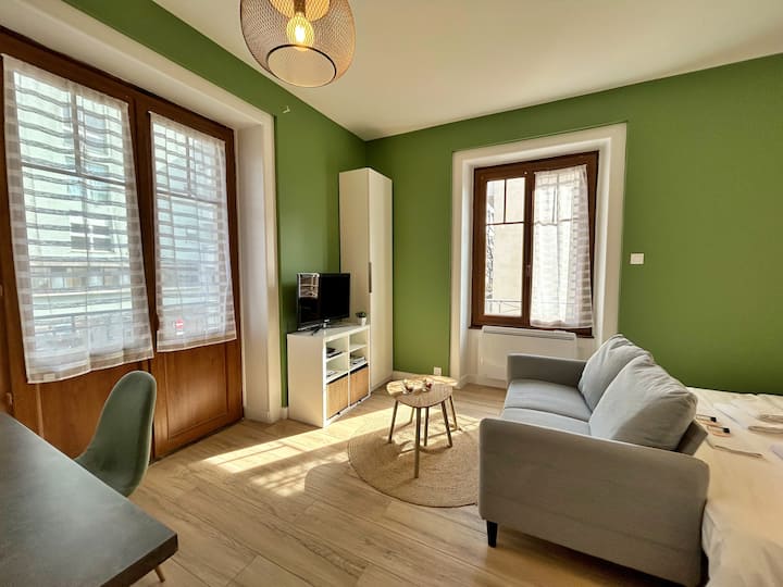 Studio Avec Balcon Et Parking En Hyper-centre - 안시