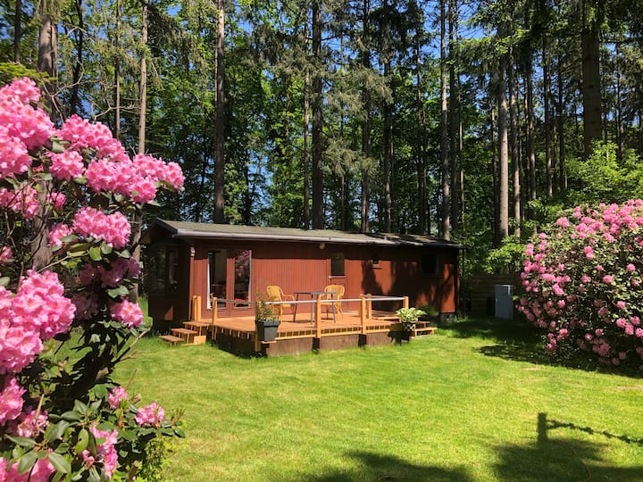 Heerlijk Chalet In Lochem, Met Terras In Het Bos - Borculo