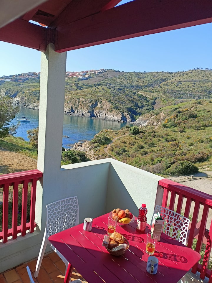 Apt Vue Mer ,Avec Terrasse ,Climatisation, Piscine - Cerbère