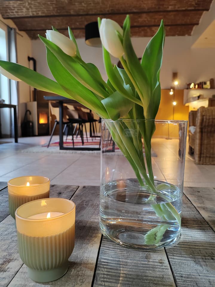 Agate Maison D'hôtes /Liège - Herstal