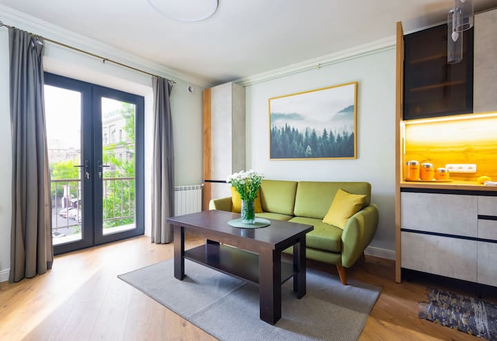 Large 1 Bedroom Apt. In City Center (Tumanyan Str) - Yerevan