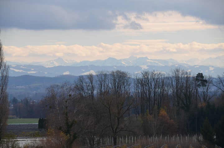 Wohnung "Alpenpanorama " - Friedrichshafen