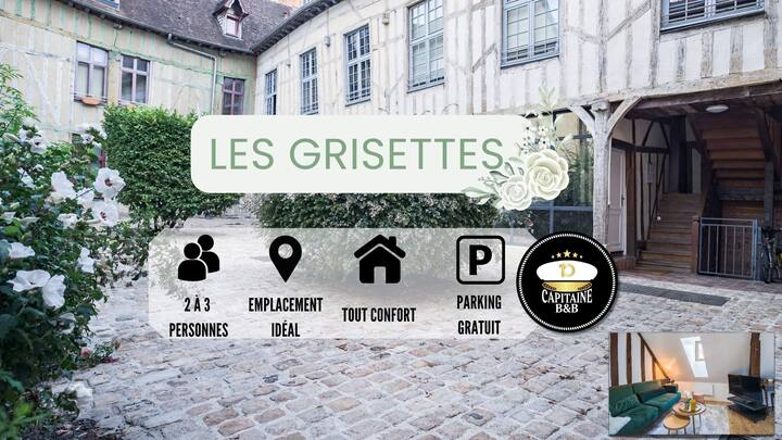 Les Grisettes -Charme Et Histoire -Prox Cathédrale - Troyes