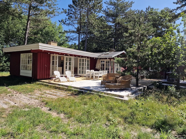 Charmerende Sommerhus I 1. Række Med Små Gæstehuse - Denmark