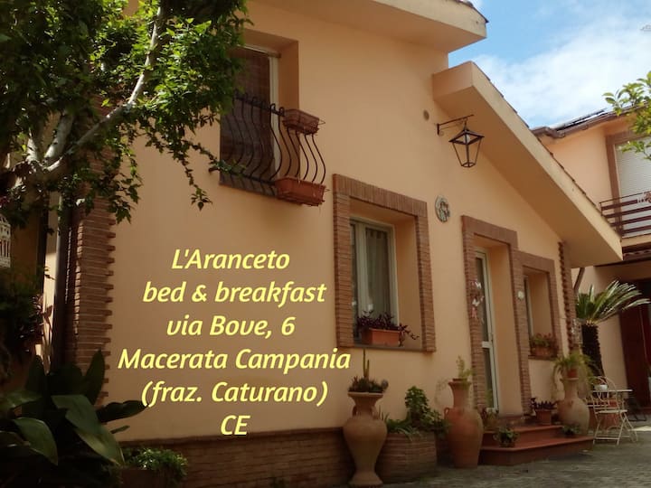 L'aranceto B&b - Capua