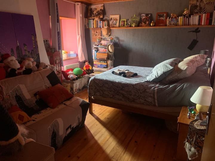 Location D'une Chambre Pour 2/4 Pers - Besse-et-Saint-Anastaise