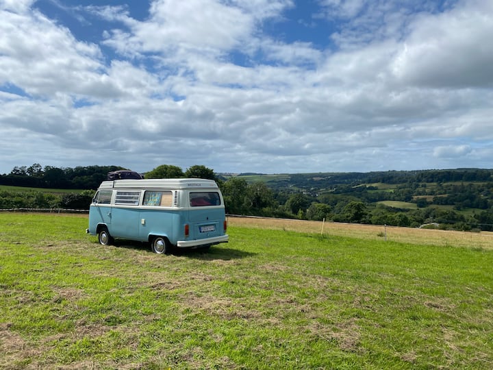 Berries Farm Camping - Lyme Regis
