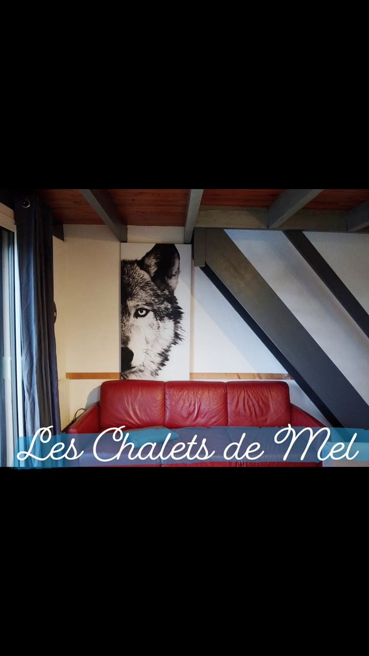 Vue Splendide à 500 M Des Pistes (Pla D’adet) - Saint-Lary-Soulan