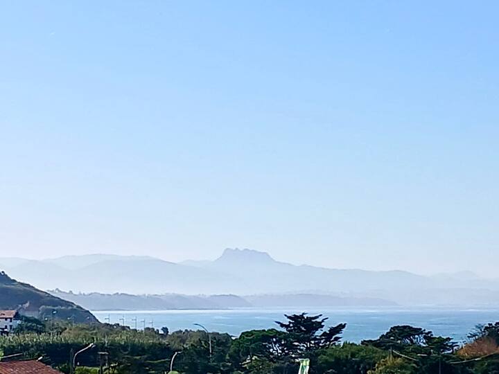 Vue Mer Et Plage De Marbella - Biarritz