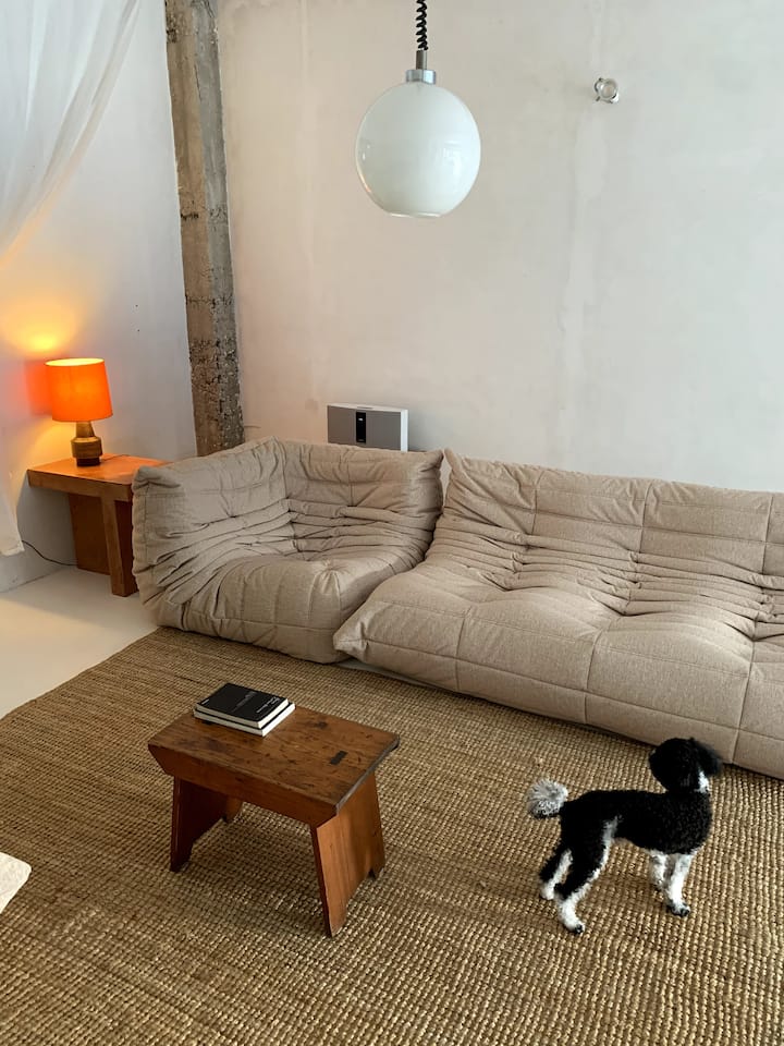 Loft With Sunny Garden In Jette, Brussels - Asse