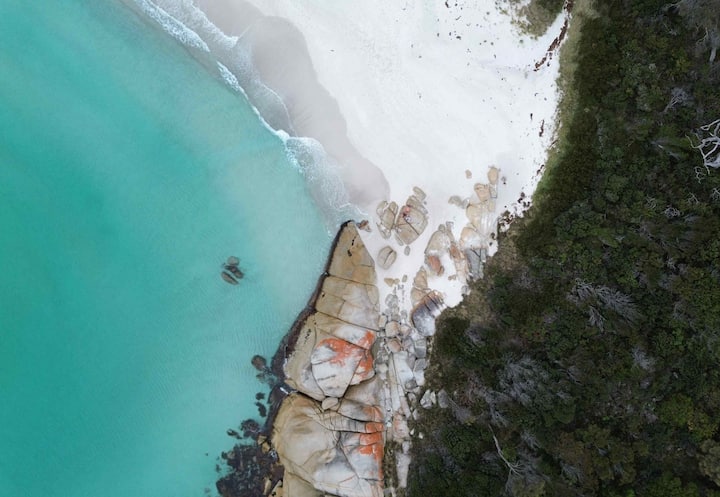 Binalong-ride Beach Shack. Dog Friendly. - Binalong Bay