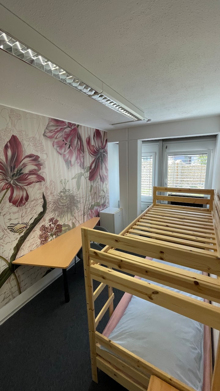 Blütenzimmer - Ingolstadt