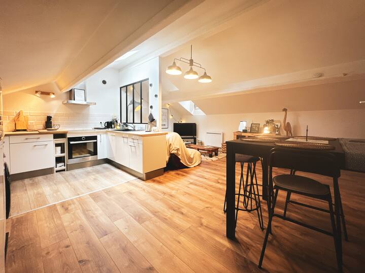 Le Mafate Appartement 2 Chambres - Périgueux