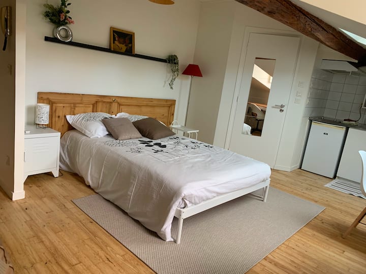 Studio Cosy, Croix Rousse. Erasmus - Lione