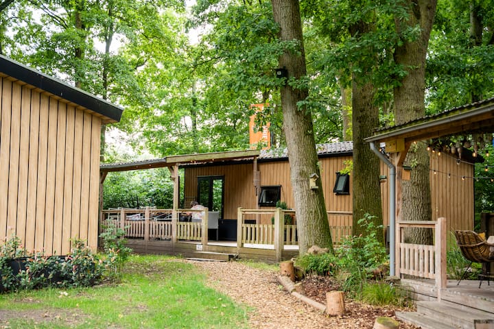 4 Persoons Chalet Zwaluw Op De Veluwe - Apeldoorn