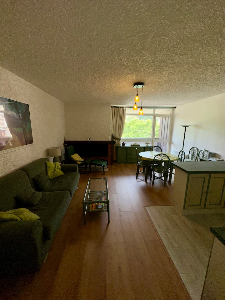 Bel Appartement à Bonascre Au Pied Des Pistes - Ax-les-Thermes